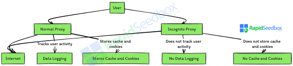 Incognito Proxy - What It Is and How to Use It? — RapidSeedbox