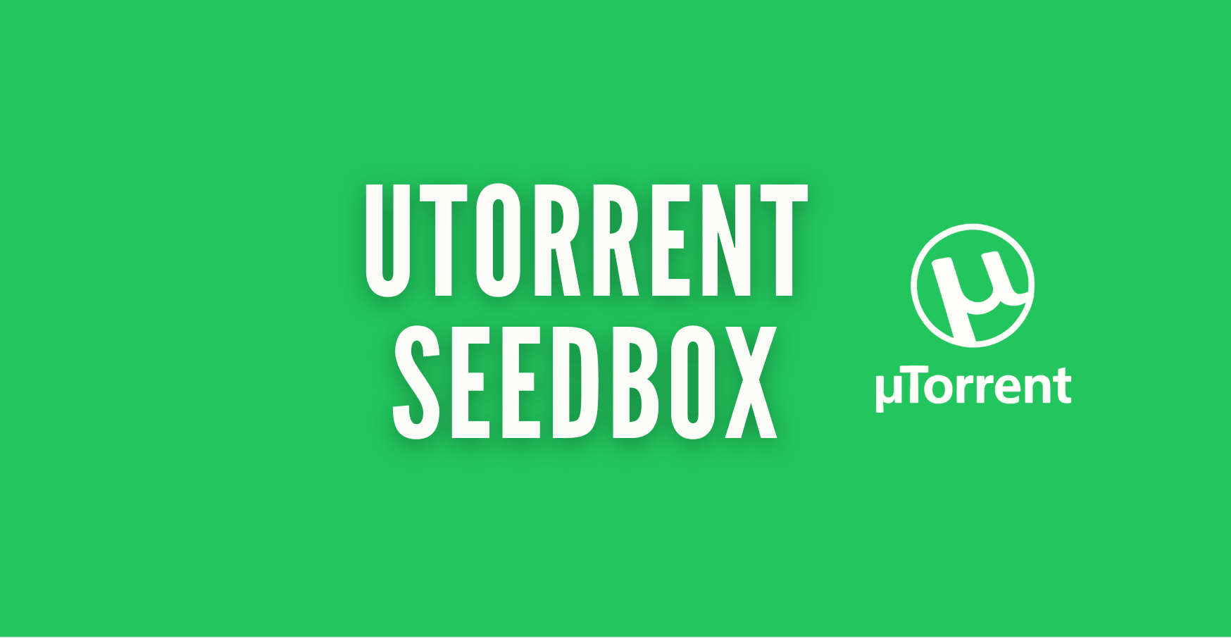 uTorrent Seedbox Guide: Setup, Benefits & Best Uses