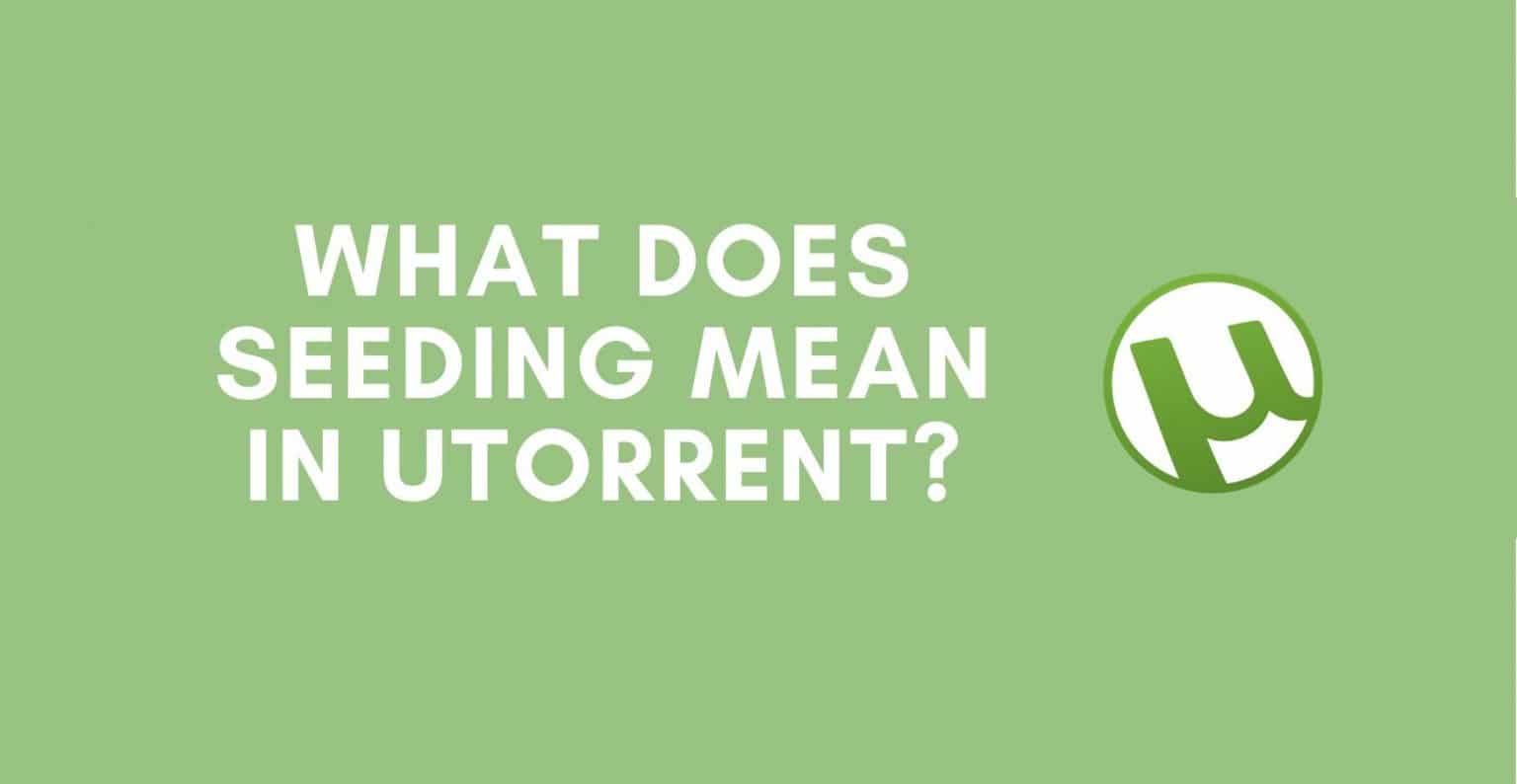 What is Seeding in uTorrent? — RapidSeedbox